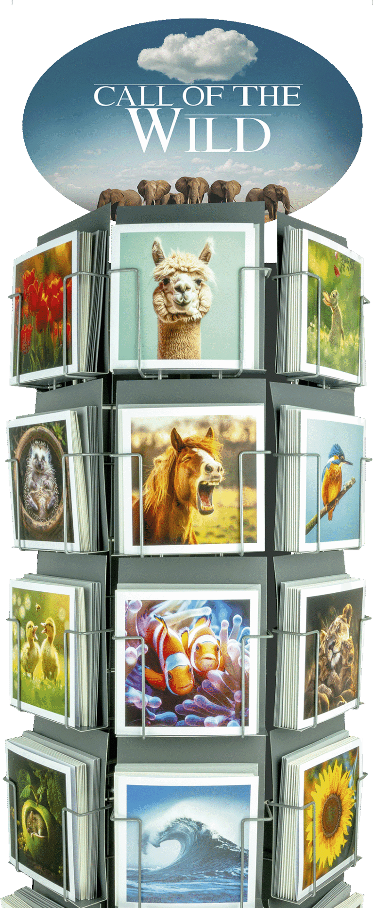 Paperclip Cards - Wenskaarten